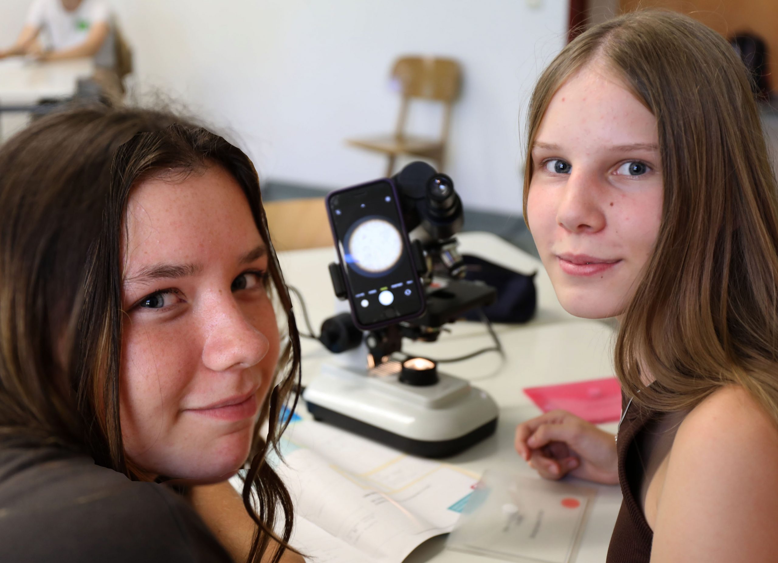 Mint Berufe - Realschule Maria Stern Augsburg Katholische Realschule ...